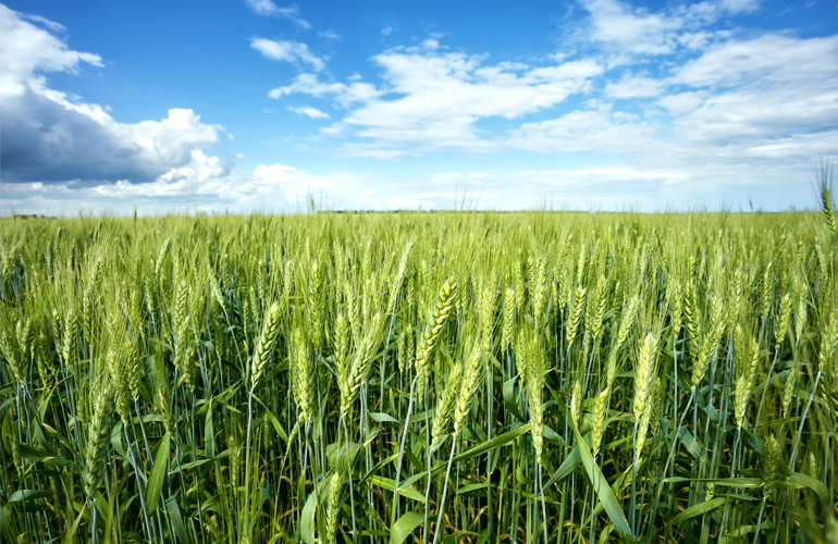 Specialists for fiber composite technology